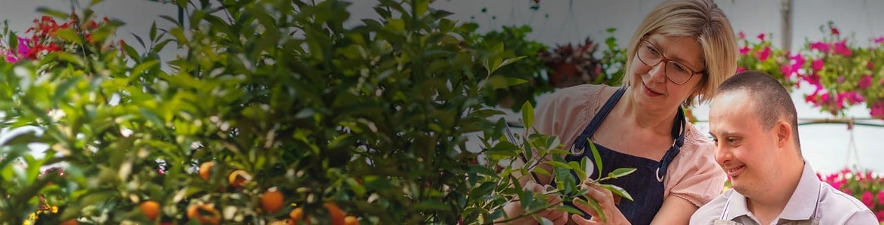 Social Impact | Allianz Australia